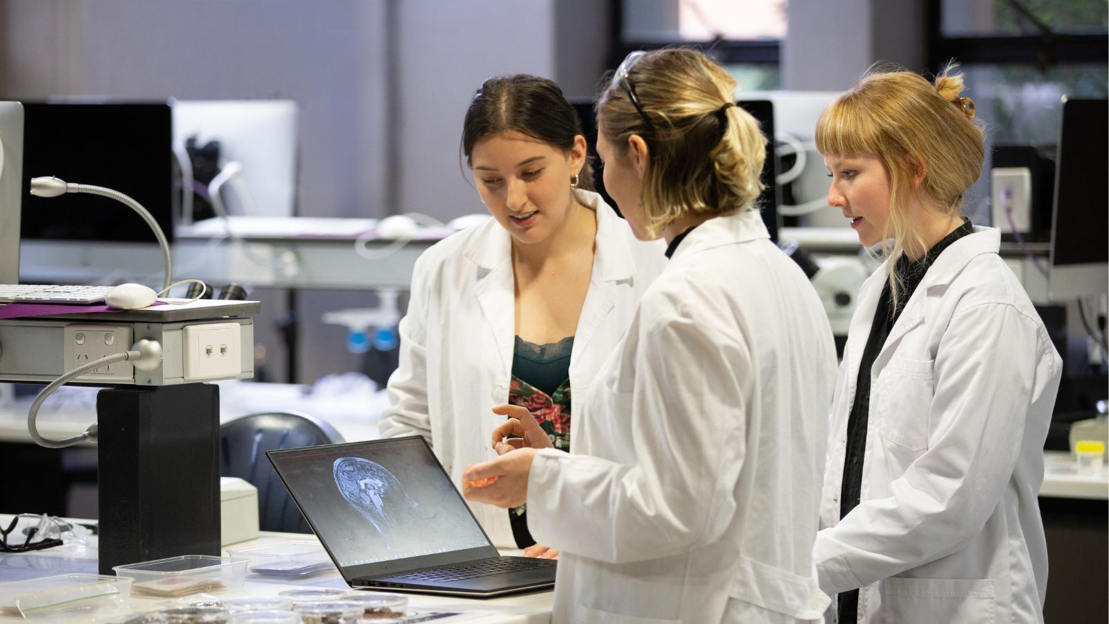 Operational Committees - ECTRIMS