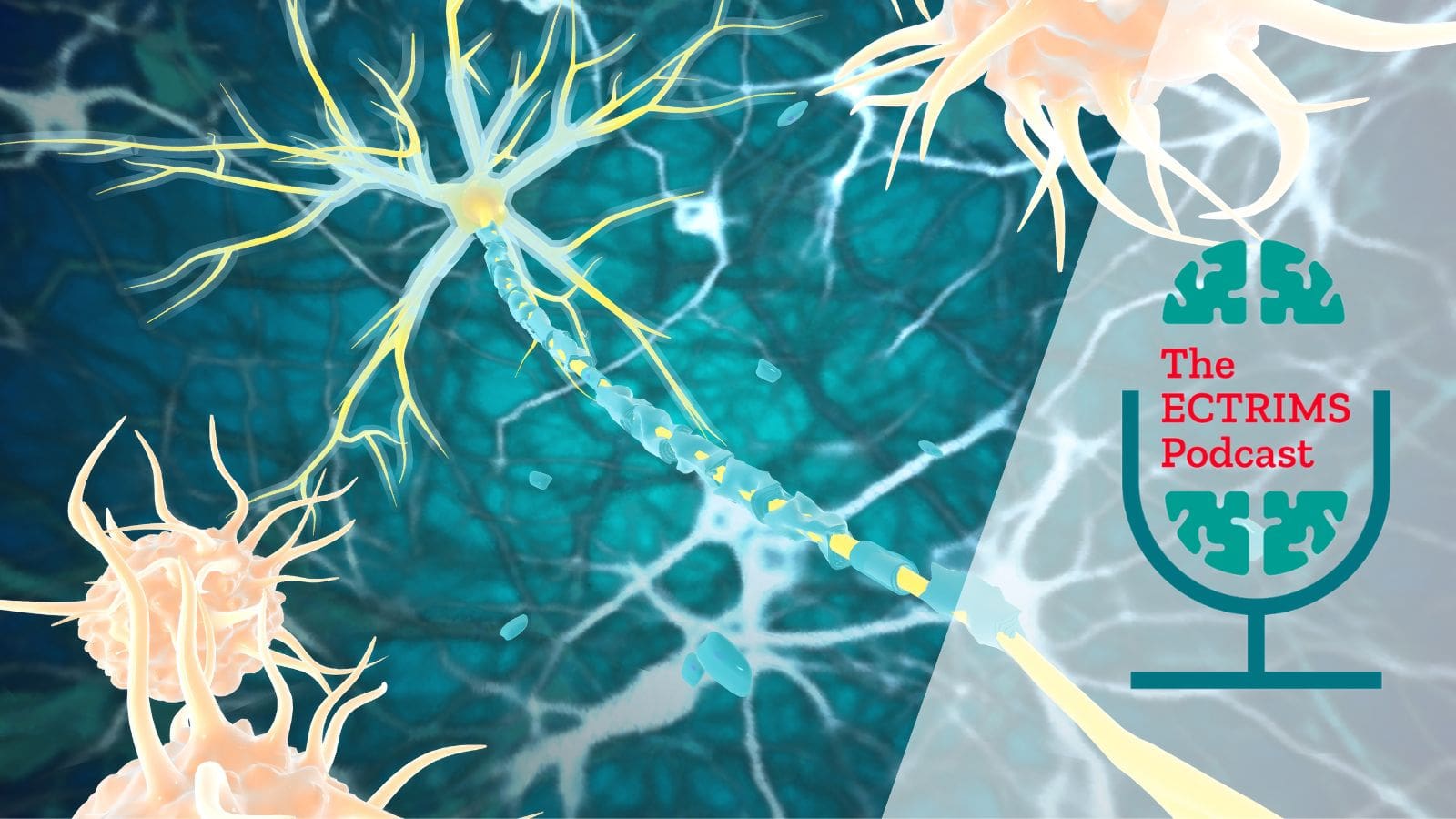 European Committee for Treatment and Research in Multiple Sclerosis ...